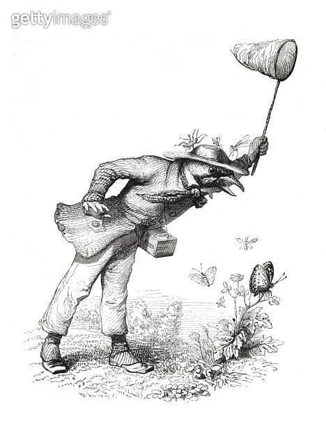 Anthropomorphic bird. humanized bird. bird is catching insects with ...