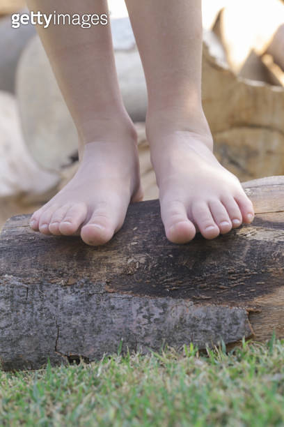 Child feet on wood log, barefoot little girl on tree trunk, countryside ...