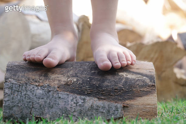 Child feet on wood log, barefoot little girl on tree trunk, countryside ...