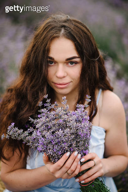 Girl sitting in lavender flowers field. A woman walk on the lavender ...