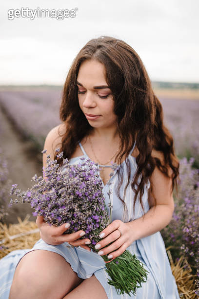 Girl sitting in lavender flowers field. A woman walk on the lavender ...