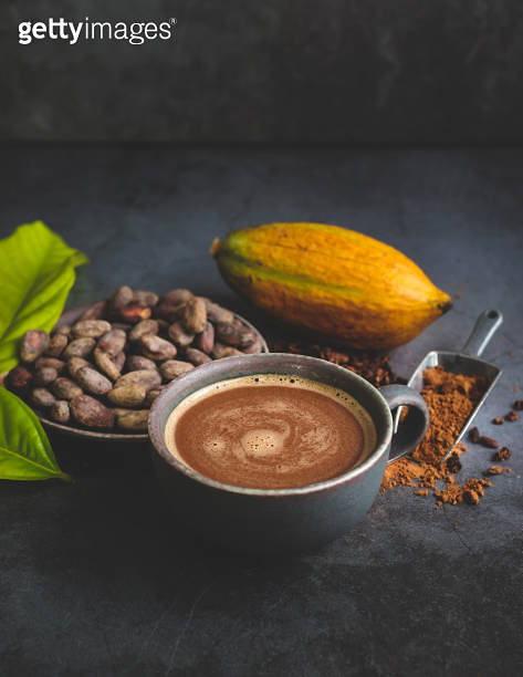 The cocoa collection set .hot chocolate mug shot, brown cocoa powder or ...