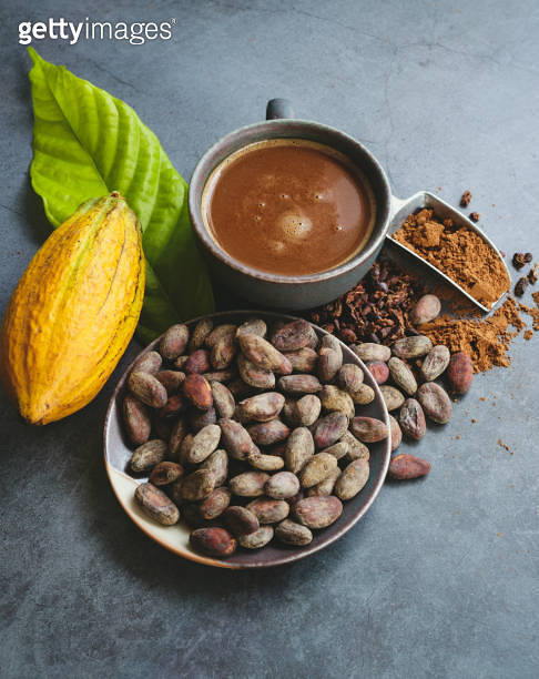 The cocoa collection set .hot chocolate mug shot, brown cocoa powder or ...