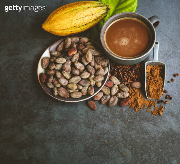 The cocoa collection set .hot chocolate mug shot, brown cocoa powder or ...