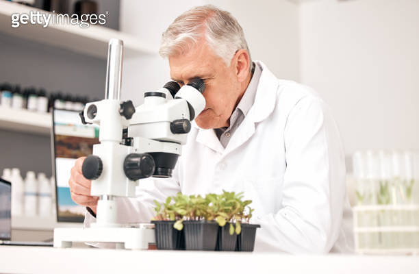 Man, science and microscope in laboratory for plants research ...