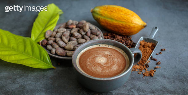 The cocoa collection set .hot chocolate mug shot, brown cocoa powder or ...