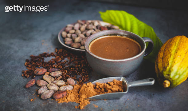 The cocoa collection set .hot chocolate mug shot, brown cocoa powder or ...