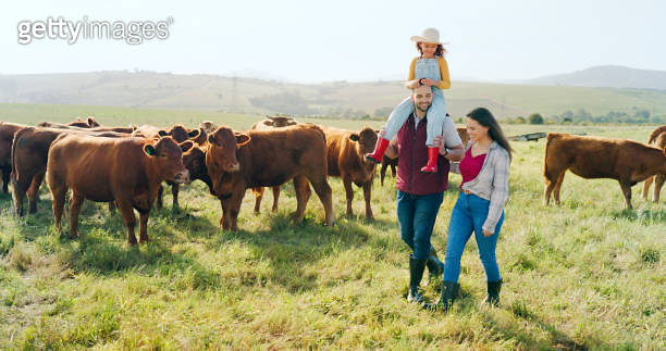 Family, girl and farm for agriculture, cows and sustainability or agro ...