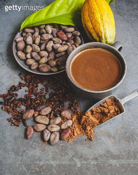 The cocoa collection set .hot chocolate mug shot, brown cocoa powder or ...