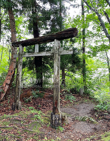 old Torii gate in the forest in Aomori, Japan 이미지 (1575965078) - 게티이미지뱅크