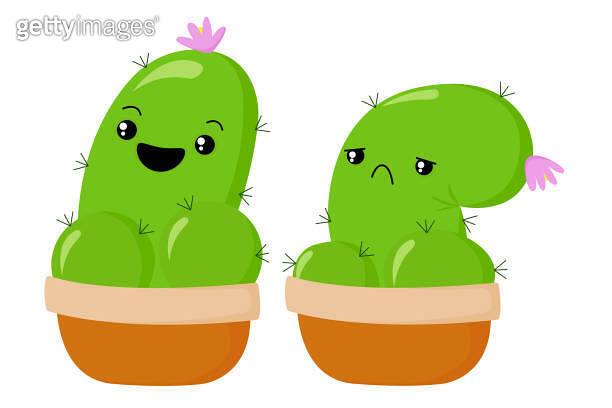 Flaccid penis, infertility, premature ejaculation. Impotence erection ...