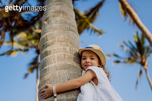 Happy little girl hugging palm tree during tropical vacation ...