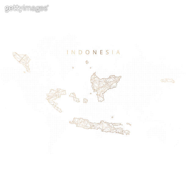 Low poly map of Indonesia. Gold polygonal wireframe. Glittering vector ...