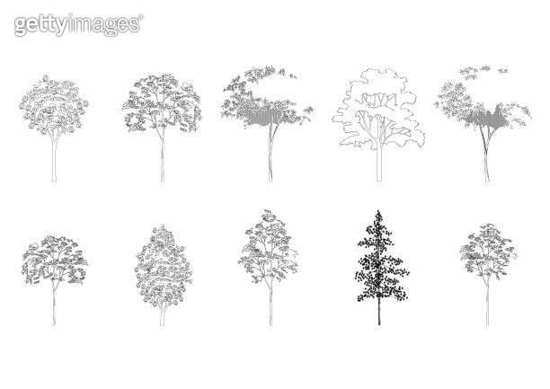tree line drawing, Side view, (1535357067) 일러스트, 무료 일러스트, 아이콘, 무료 아이콘 ...