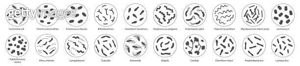 Set of bacteria in a magnifying glass. Vector illustration in doodle ...