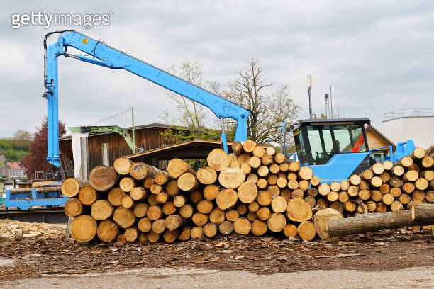 Lumber - tree logs sawn and prepared for loading, loading equipment ...