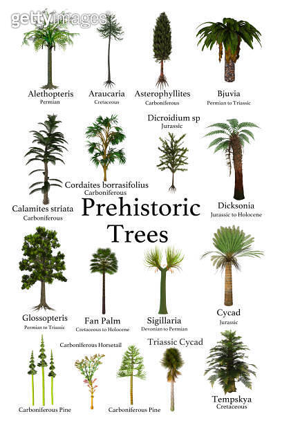 Prehistoric Trees (1690928633) - 게티이미지뱅크