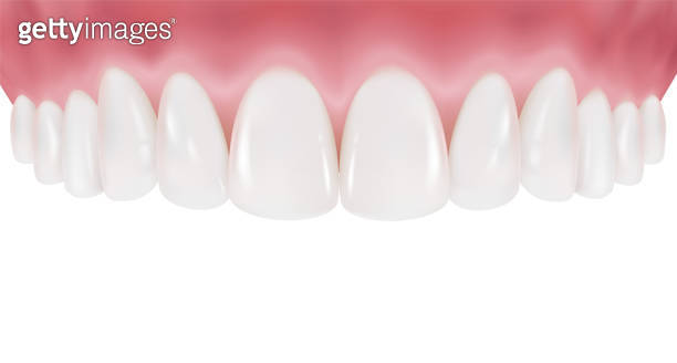 Upper row of teeth and gums 이미지 (1772192067) - 게티이미지뱅크