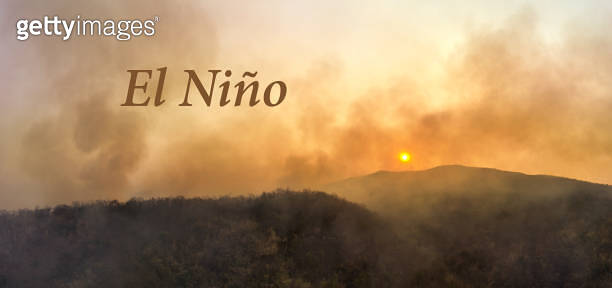 El Nino weather phenomenon cause drought and increase wildfire in ...