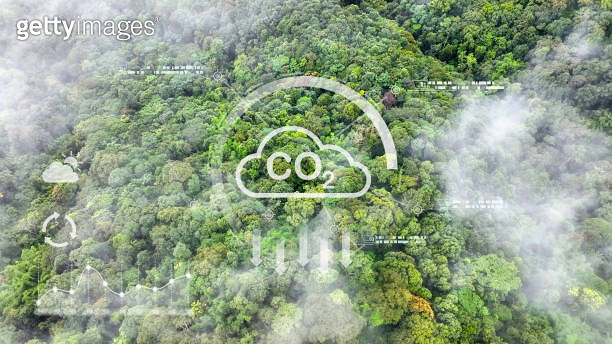 Mist on tropical rainforest mountain, Tropical forests can increase the ...