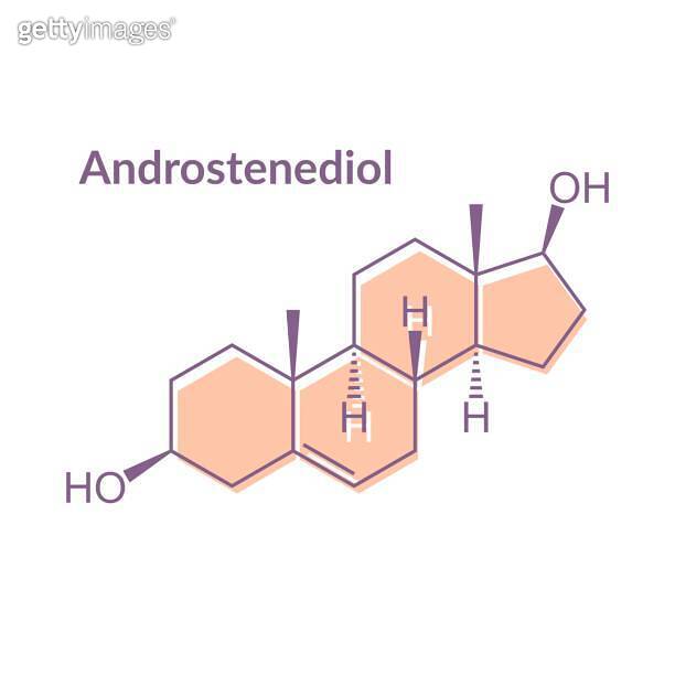 Androstenediol structural chemical formula. Androgen steroid hormone ...