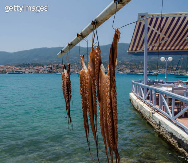 Dried octopuses for cooking traditional Greek dishes in a tavern. 이미지 ...