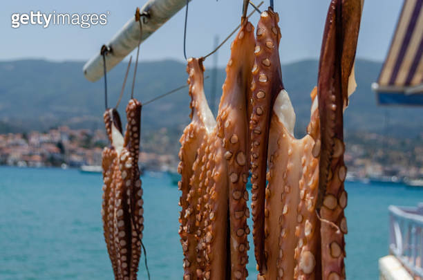 Dried octopuses for cooking traditional Greek dishes in a tavern. 이미지 ...