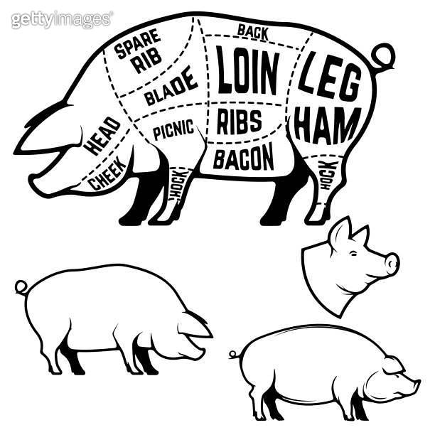 Butcher diagram, scheme and guide - Pork cuts. Set of pig silhouettes ...