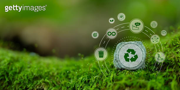 Recycling, zero waste, waste management concept. Carbon neutral, net ...