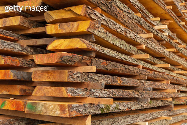 Sturdy timber planks are stacked neatly, illuminated by warm sunlight ...