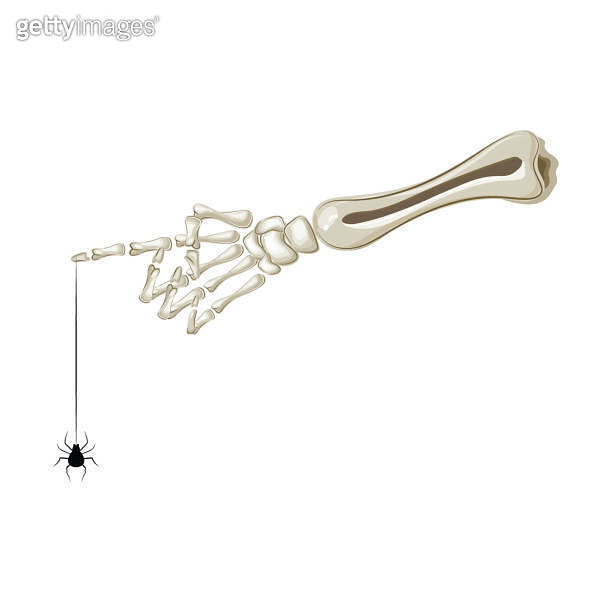 Spooky skeleton hand grasping a spider on its web, perfect for ...