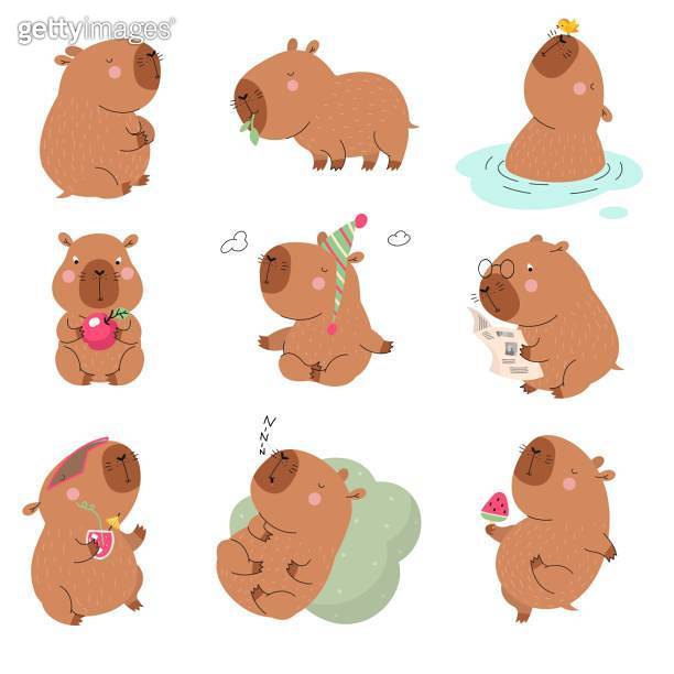 Cartoon capybara. Cute little capybaras different poses. Wild animals ...