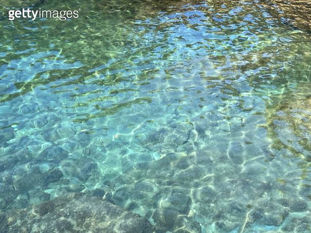 Amazing sea water clear transparent surface with algae 이미지 (2075496591 ...