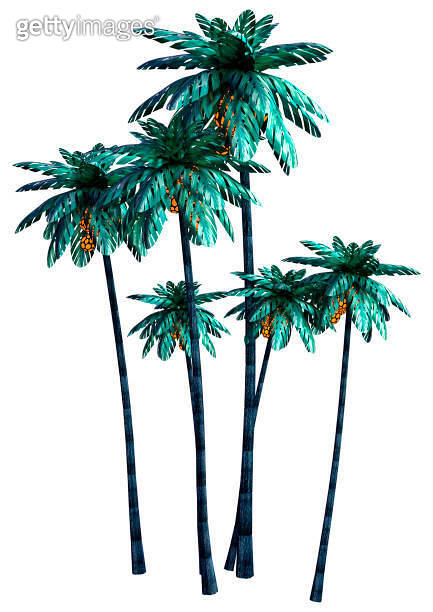 3D Rendering Alien Palm Trees on White 이미지 (1995359407) - 게티이미지뱅크