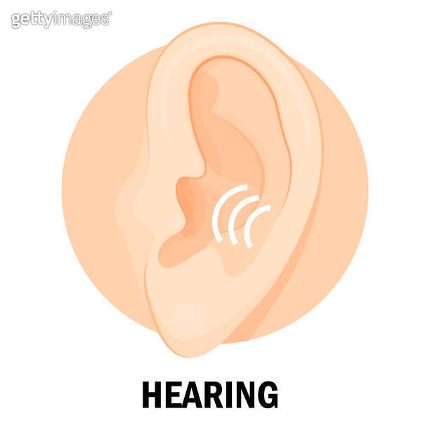 Illustration demonstrating one of the senses - hearing 이미지 (2164574425 ...