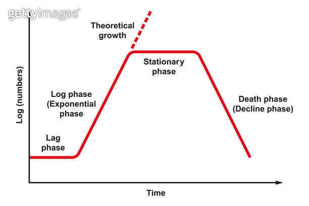 Bacterial growth or kinetic curve of a static culture of microorganisms ...