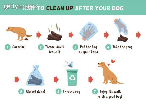 Clean up after dog. Instructions for collecting excrement after walking ...