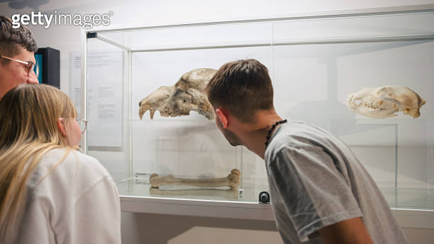 Young people observing animal skeletons in natural history museum 이미지 ...