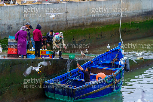 Sunrise scene of the fishing port, in Essaouira 이미지 (2152175085) - 게티이미지뱅크