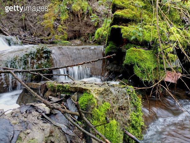 A small waterfall on a forest stream with stone banks. Large stones are ...