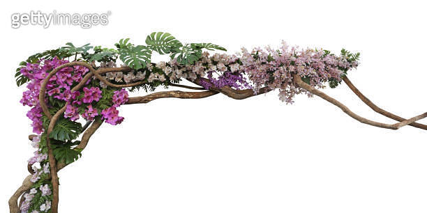 Tropical vibes plant bush floral arrangement with tropical leaves ...