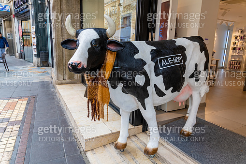 Ale-Hop Storefront Cow Sculpture with Scarf in Cartagena, Spain 이미지 ...