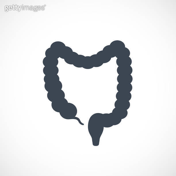 Intestine silhouette, human digestive system (2152330636) - 게티이미지뱅크