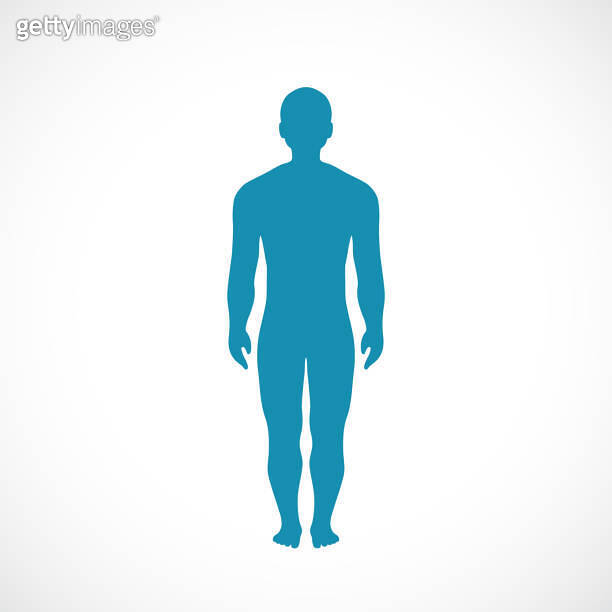 Human body silhouette vector icon 이미지 (2119164398) - 게티이미지뱅크