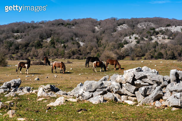 Scenic view in Monte Gennaro, near San Polo dei Cavalieri village, in the Province of Rome ...