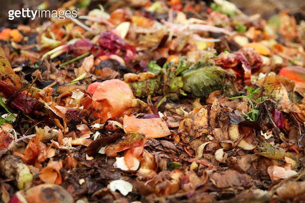 Compost background close up. Compost above the composter with organic ...