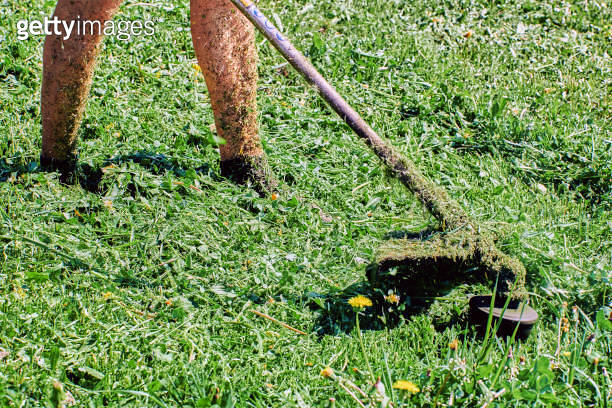 Greenskeeper uses weed whacker without protecting his skin with ...