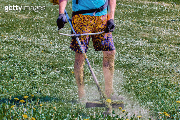 Groundskeeper did not protect skin of legs when working with weed eater ...