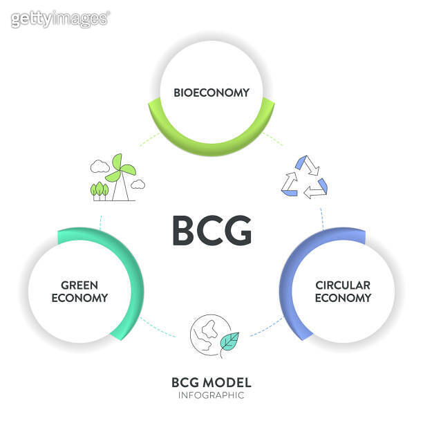 BCG model strategy infographic diagram chart banner template for ...