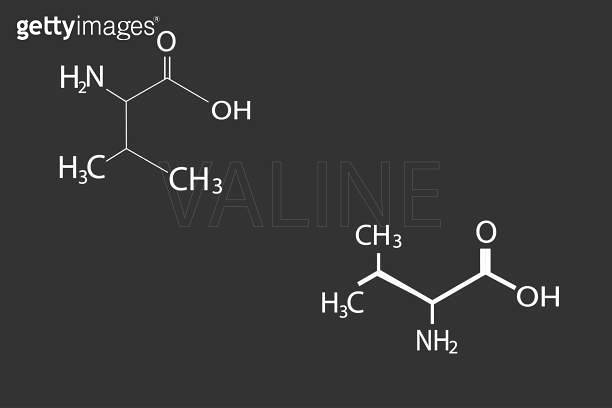 valine molecular skeletal chemical formula 이미지 (2065442724) - 게티이미지뱅크